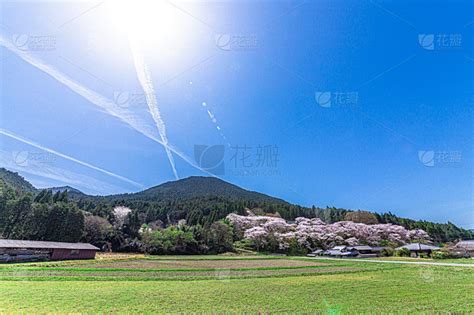哦 美丽的日本