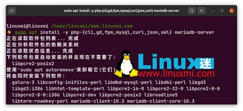 如何在 Ubuntu 20 04 LTS 上安装 LighttpdPHP 和 MariaDB Linux迷