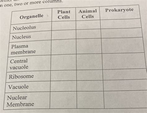 Solved N One Two Or More Columns Math