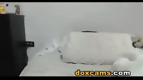 Young Homemade Anal Dildo Live Eporner