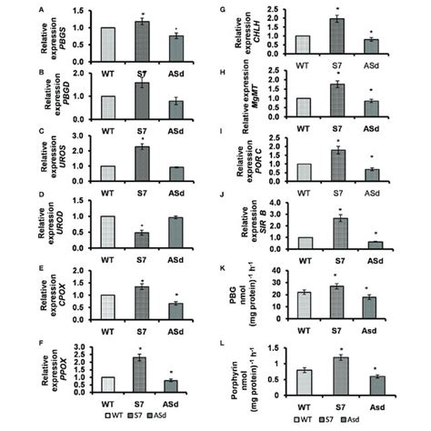 Analysis Of The Transcript Abundance Of Nuclear Genes Encoding The