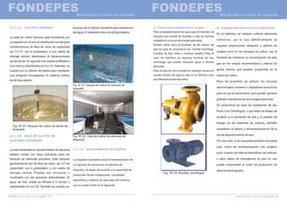 Manual Lenguado Pdf