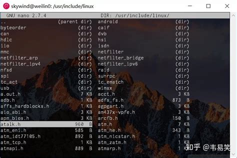 Nano 编辑器可以做些什么？ 知乎