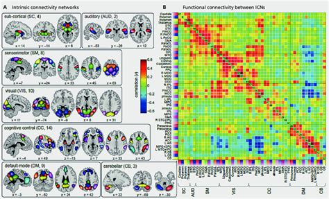 Examples Of Within And Among Network Connectivity Information The Left Download Scientific