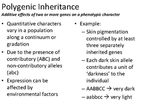 Genetics Ii Nonmendelian Inheritance Nonmendelian Genetics Codominance Incomplete