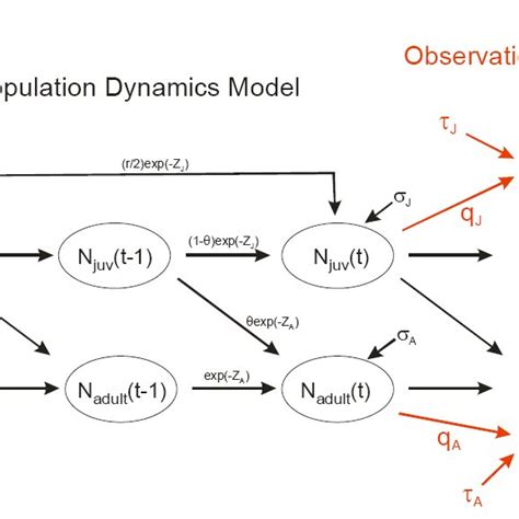 The Basic Stage Structured State Space Model Used For Winter Skate