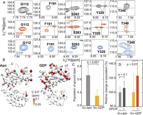 Gα Conformational States Are Modulated By Nucleotide And Gpcr Binding Download Scientific