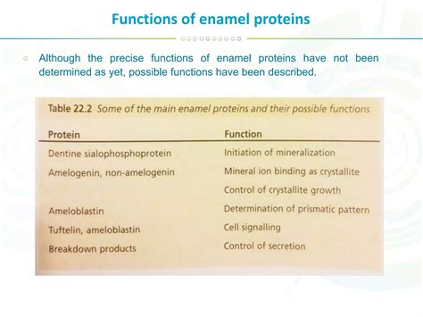 Enamel Proteins Ppt