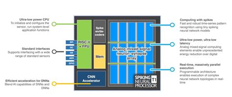 innatera productizes snn accelerator as ‘neuromorphic microcontroller