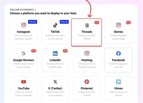 How To Embed Threads Feed Posts On Any Website For Free Embedsocial