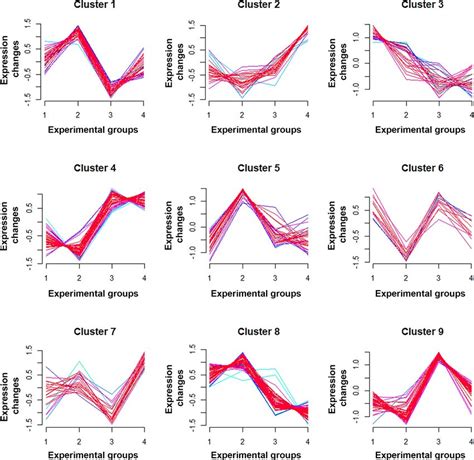 Cluster Analysis Of Protein Expression In All Experimental Groups A