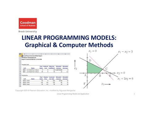Lecture 6 Linear Optimization Models Linear Programming Models