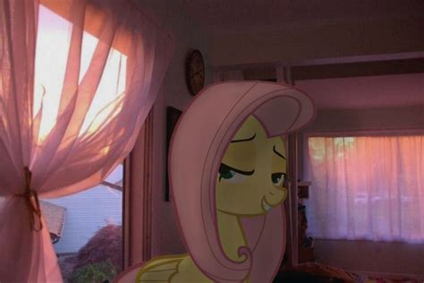 Пин от пользователя Viamer на доске сайт літл поні Флаттершай Вечеринка с пони Обои