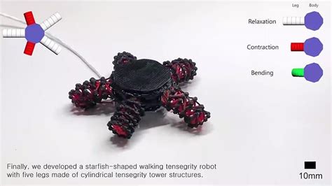 3d Printed Tensegrity Soft Robots Blog Omotec On My Own Technology