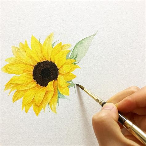 해바라기 그리기 싫다 🌻 수채화 해바라기 그림안되는날 꽃그림 식물그림 Sunflower Flower