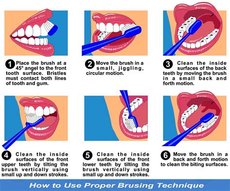 Printable Brush Teeth Visual