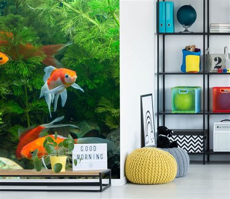 Cute Goldfish Wallpaper