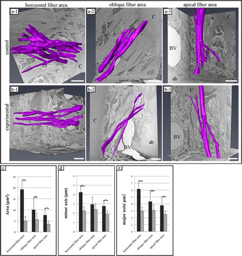 Comparison Of Three Dimensional Structure And Structural Properties Of Download Scientific