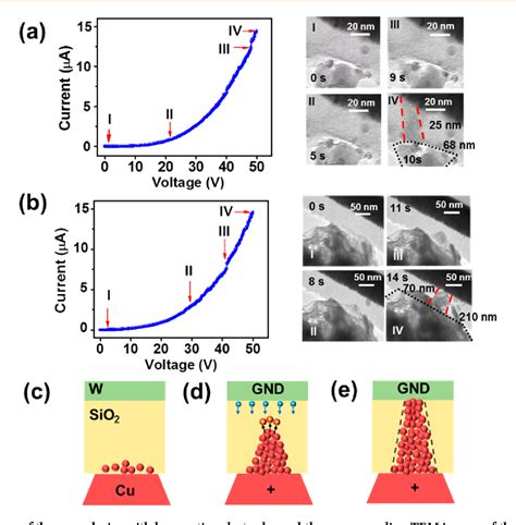 figure 1 from real time observation of the electrode size dependent