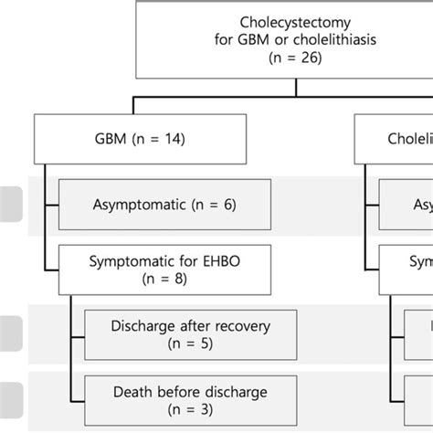 Patient Classification Diagram Gbm Gallbladder Mucocele Ehbo