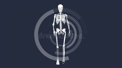 animation of scope scanning with human skeleton on grey background