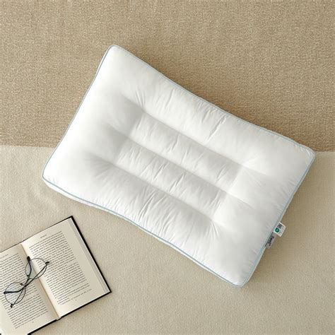 스웰 알러지케어 호텔다운필 낮은 경추굽베개 38x58x4 Fp1524002 모던하우스