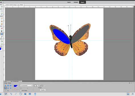 Pink Reptile Designs TUTORIAL CUSTOM SHAPE TEXT BOX IN PHOTOSHOP ELEMENTS PART 2