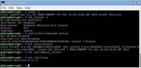 Raspberry Pi Revisited Internet With A Brain