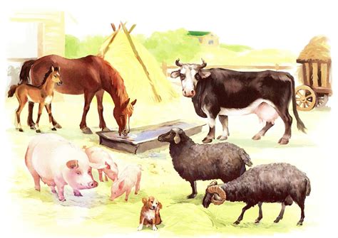 Домашние животные фото картинки и рисунки на рабочий стол бесплатно