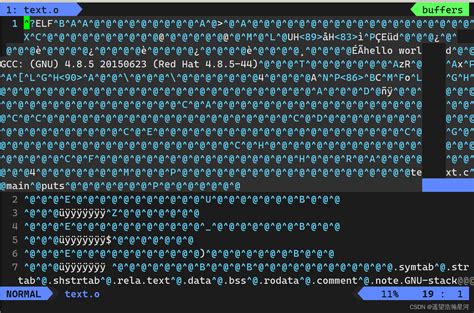 Linux环境基础开发工具使用（一）万字讲解 Csdn博客