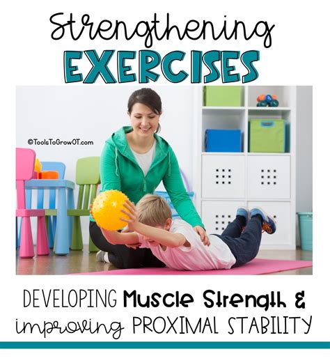 Strengthening Exercises Developing Muscle Strength And Improving Proximal Stability Artofit