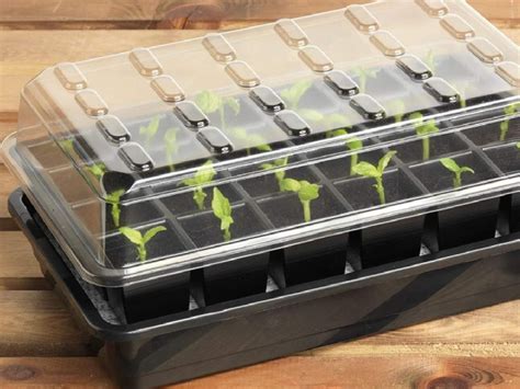 Propagators For Propagating Vegetable Seeds