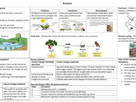 Aqa Geography Ecosystem Revision Mind Map Teaching Resources