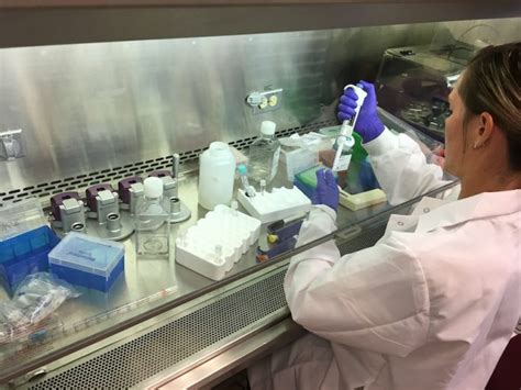 Longevity Biomedical And Denali Capital Combine To Conquer Digital Health The Healthcare