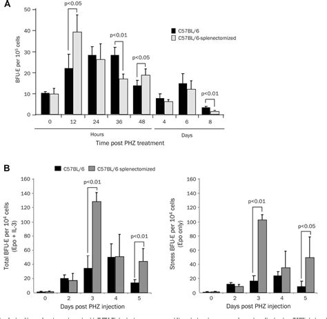 Erythrocyte Differentiation Pathway Semantic Scholar
