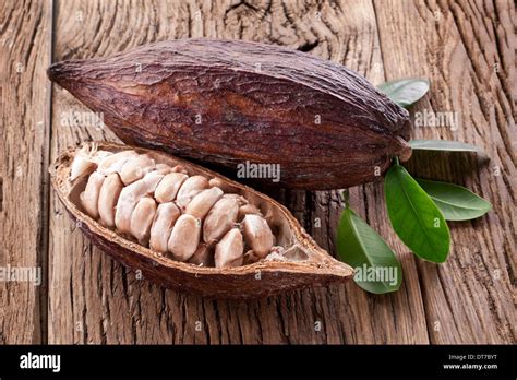 Open Cocoa Pod Stock Photos Open Cocoa Pod Stock Images Alamy