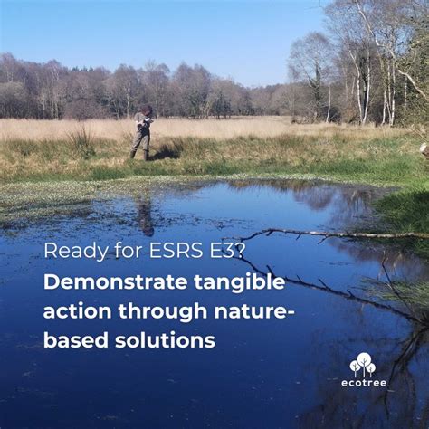 Csrd Esrs Nbs Ecotree International