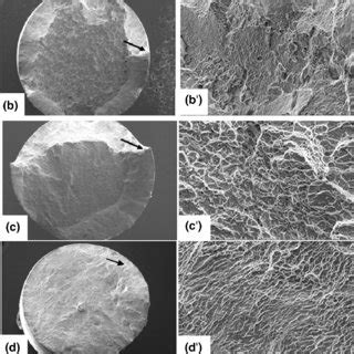 (a) Representative line scan SEM image and (b) EDS line scan analysis... | Download Scientific ...