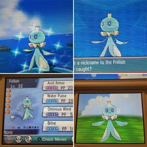Shiny Frillish♂ Pokémon Amino