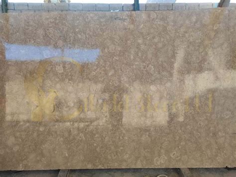 Ocean Reef Limestone Tiles Polished Finish 1 Supplier