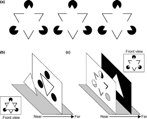 Figure 1 From Neural Computations Underlying Depth Perception Semantic Scholar