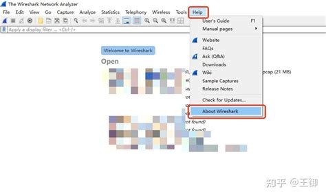 Wireshark如何使用lua Dissector？ 知乎