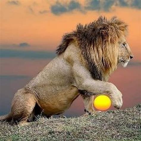 Flet Android Youtube