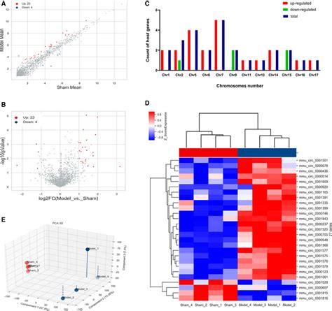 Identification Of Decs In A Con A‐induced Aih Mouse Model A Download Scientific Diagram