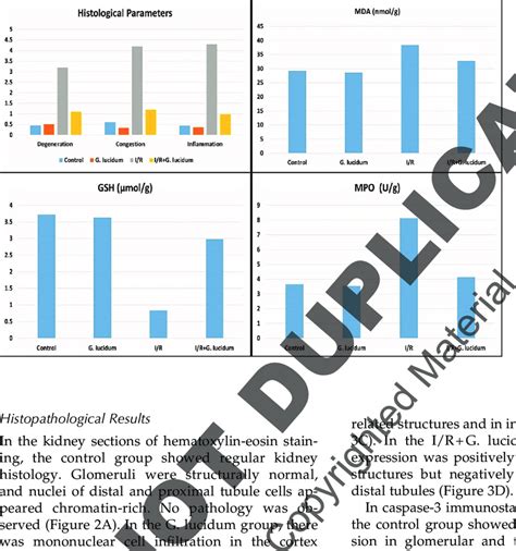 Graphical Illustration Of Table I Regarding Histological Degeneration