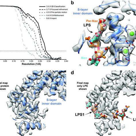 Pdf A Bayesian Approach To Single Particle Electron Cryo Tomography In Relion 40