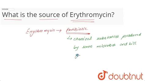 What Is The Source Of Erythromycin Class 12 Microbes In Human