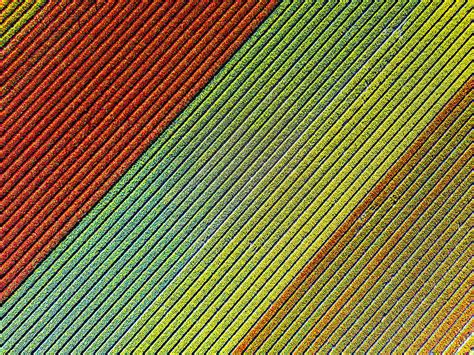 Diagnal In Spring Photograph By Jie Jin Fine Art America