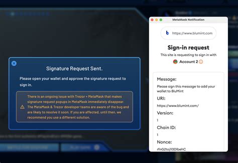 Bug MetaMask Signature Request Immediately Appears And Then Disappears Depending On The