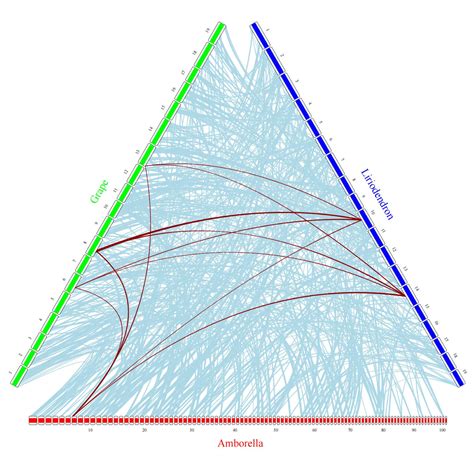 Collinearity Plot A Biomedical Visualization Atlas
